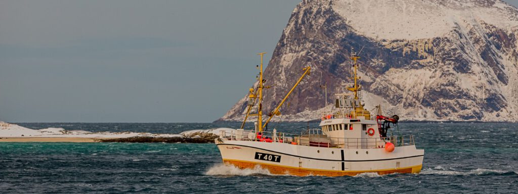 Radioactivity in fish | MOSJ