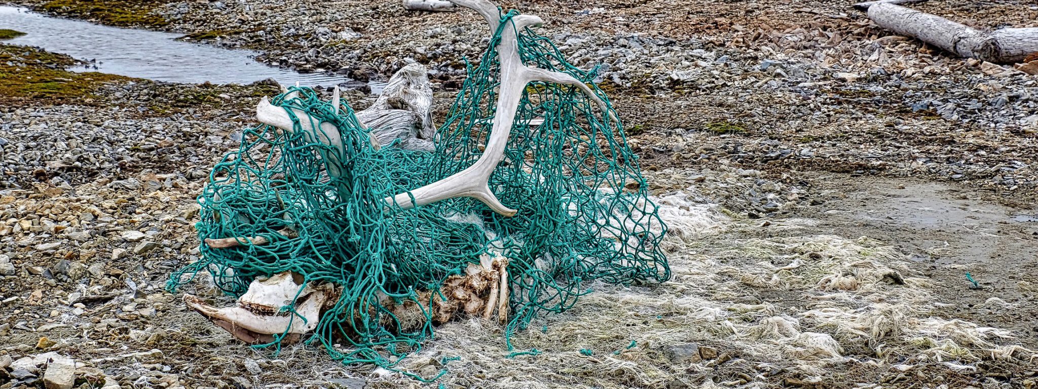 Beach litter in Svalbard | MOSJ